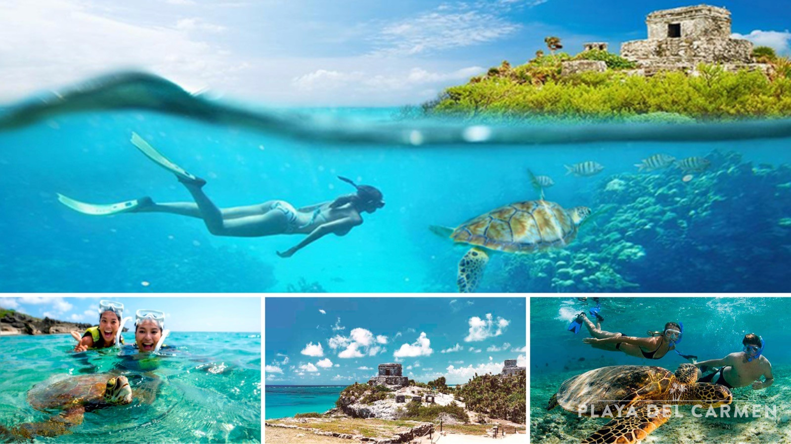 Swimming with Turtles - Tulum - Playa del Carmen Vacation Rentals